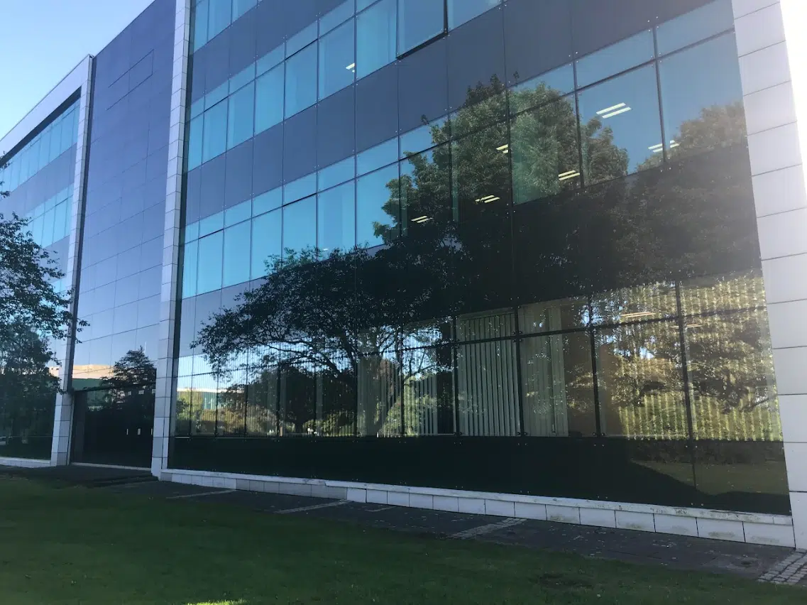 The True Bird-Safe Glass Cost: What You Need to Know – Vistaza